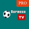 Burmese TV Pro - Free APK Download - ViaAPK