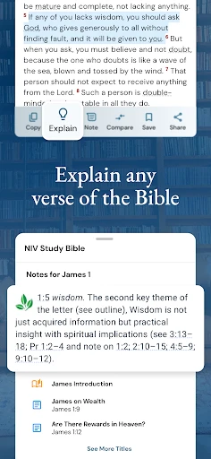 NIV Bible - Free APK Download - ViaAPK