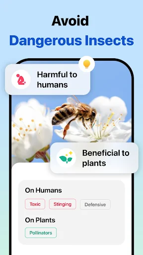Picture Insect: Bug Identifier - Free APK Download - ViaAPK