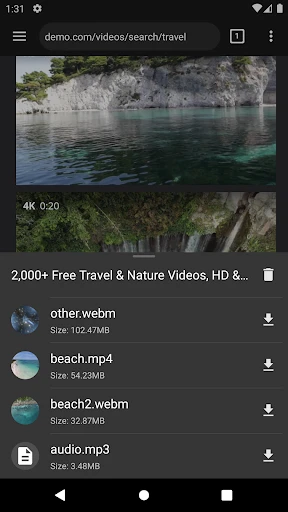 Video Downloader Pro - Free APK Download - ViaAPK