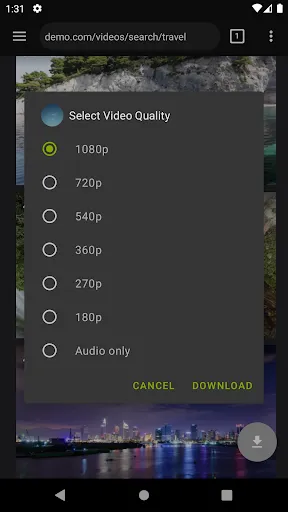Video Downloader Pro App Download - ViaAPK